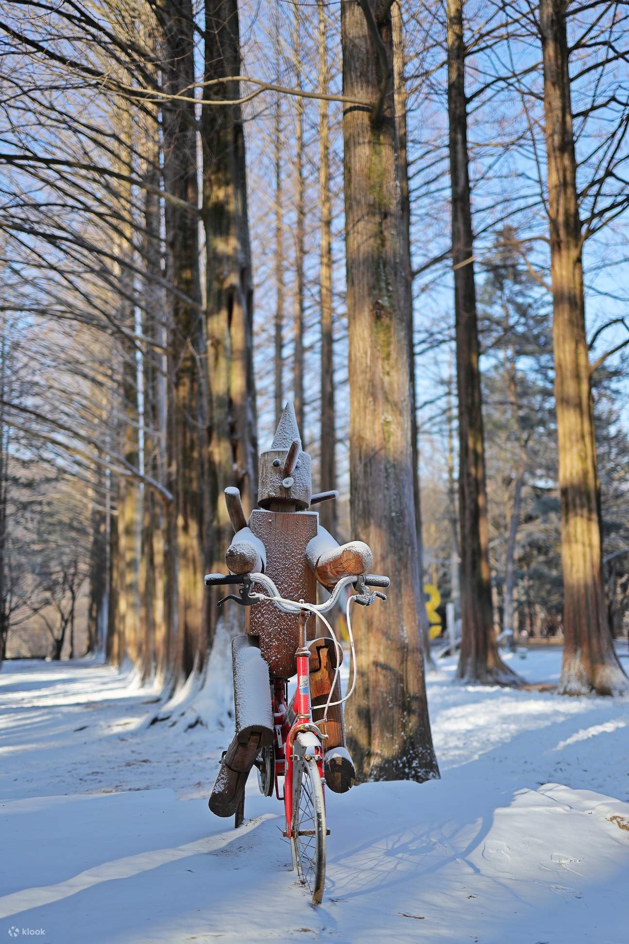 [Special Offer] Nami Island Admission with Restaurants & Activities - Klook